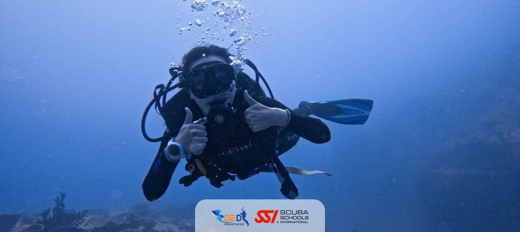 Trung Tâm Đào Tạo Lặn Biển | Delight Diving Nha Trang